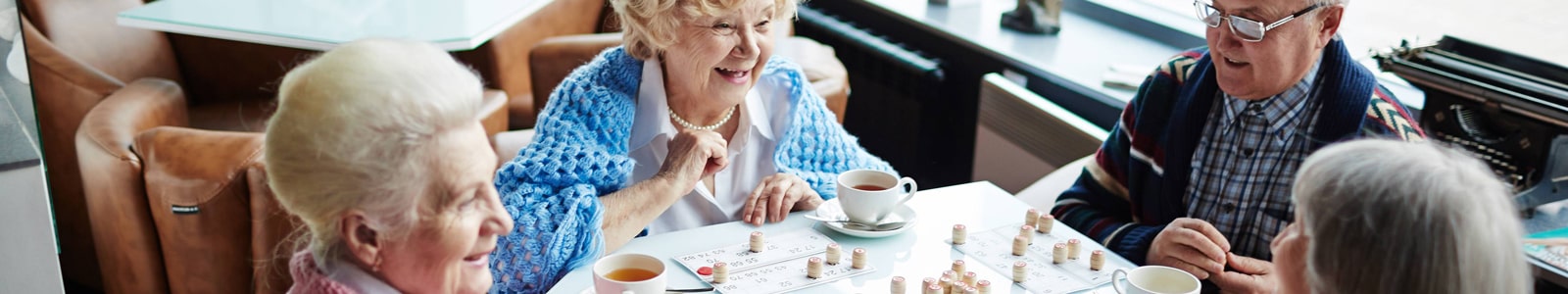 Bingocize® - https://www.ssseva.org