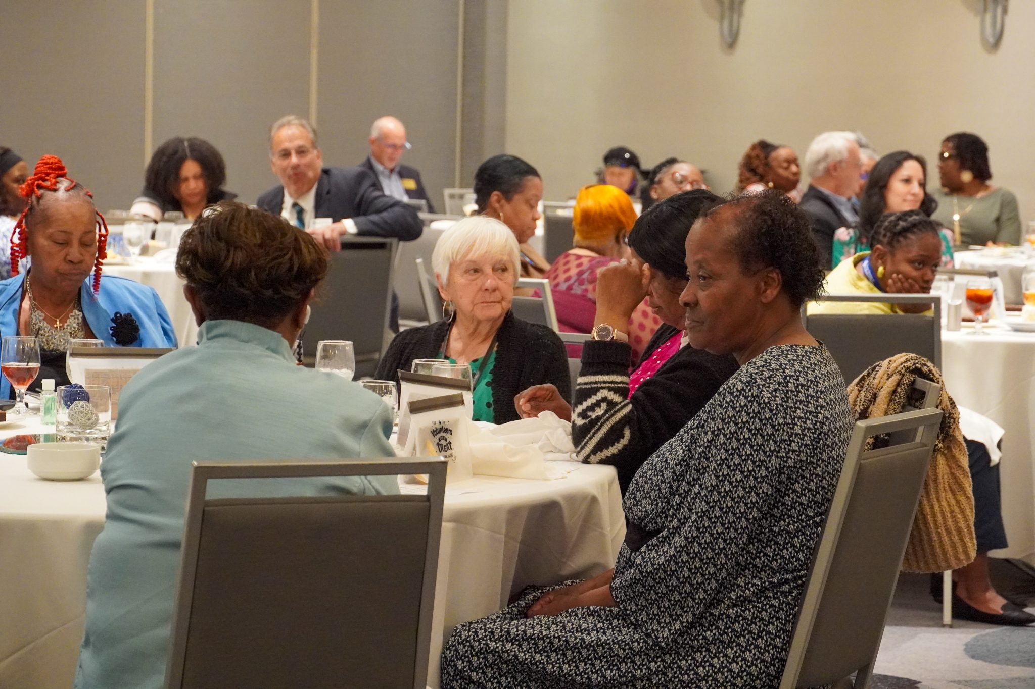 Volunteer – Senior Companion Appreciation Event 2023 - https://www.ssseva.org